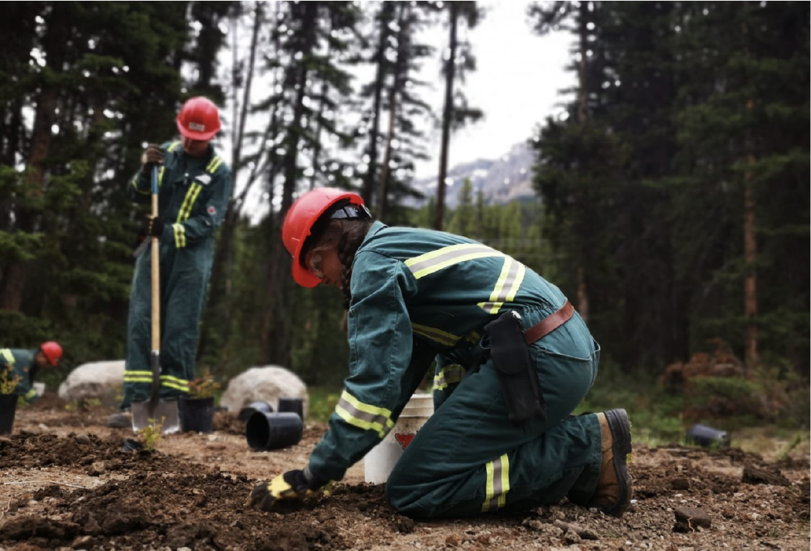 Vitae Environmental Construction - Solutions for sensitive habitats