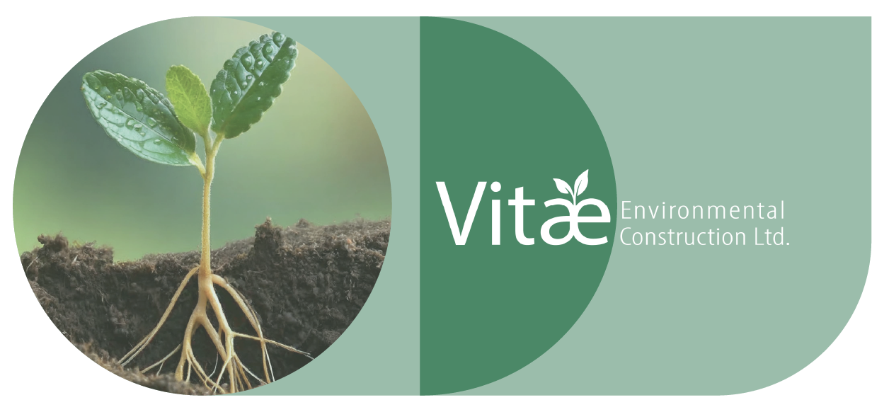 Contact Vitae Environmental Construction